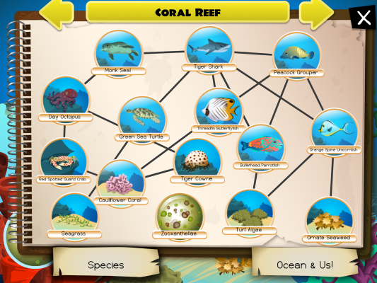 "Understanding food chains/food webs" | Springbay Studio